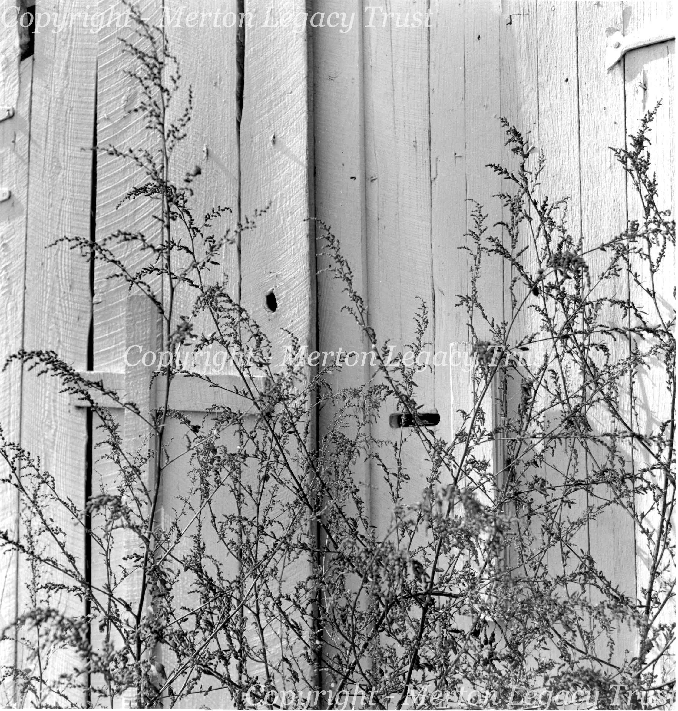 A Hidden Wholeness: The Zen Photography of Thomas Merton - Thomas ...