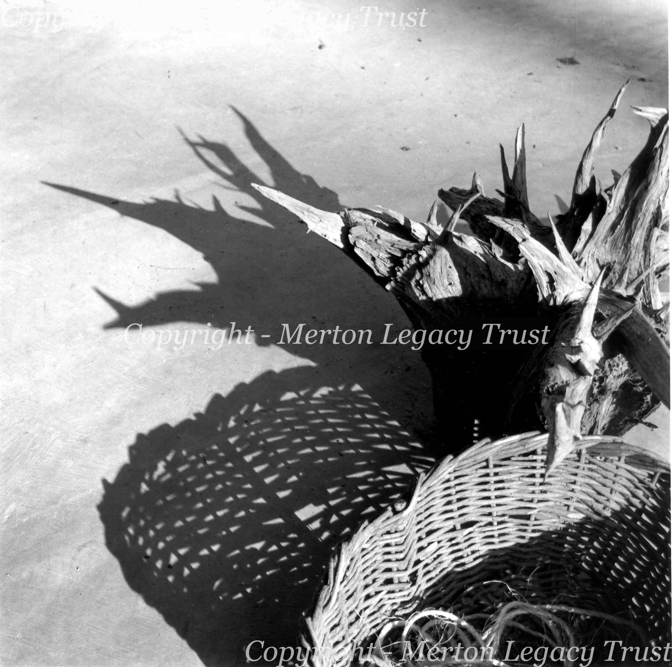 A Hidden Wholeness: The Zen Photography of Thomas Merton - Thomas ...