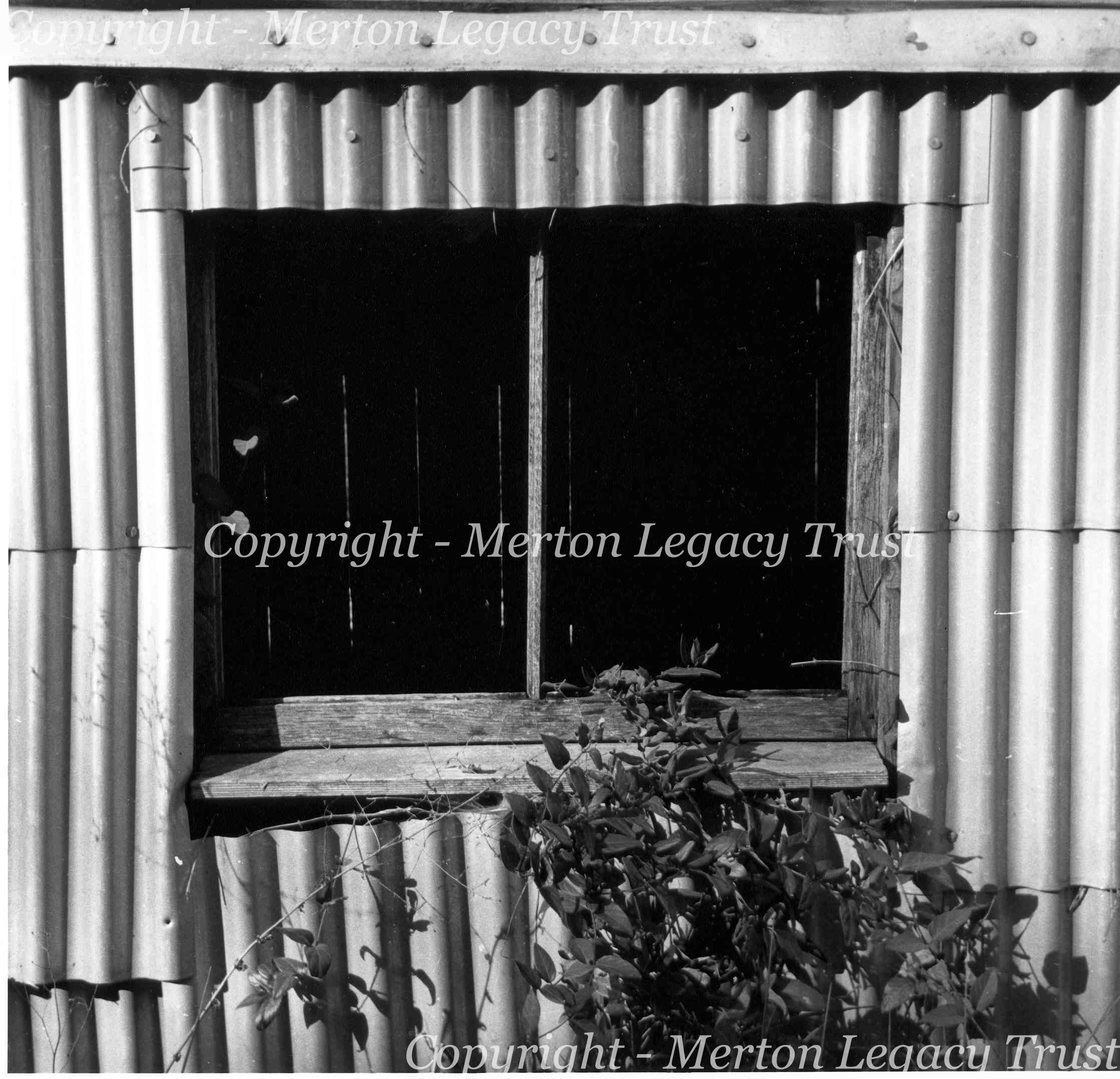 A Hidden Wholeness: The Zen Photography of Thomas Merton - Thomas ...