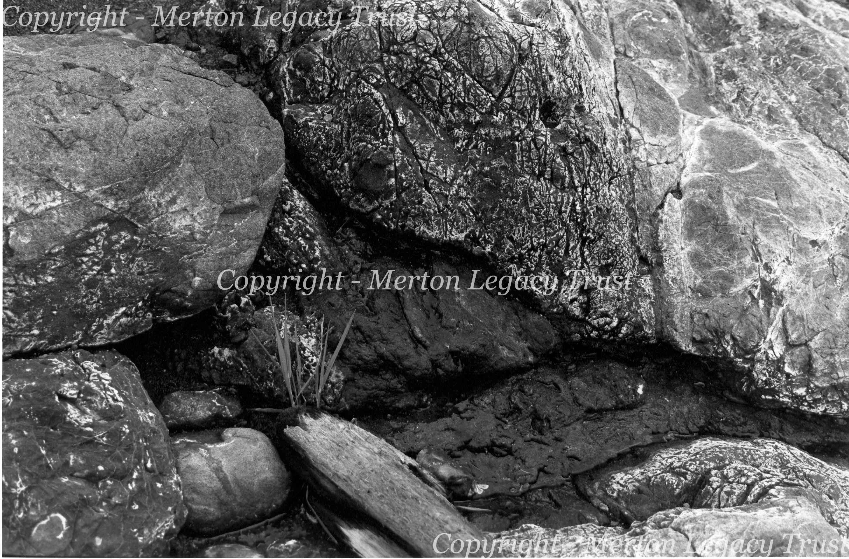 A Hidden Wholeness: The Zen Photography of Thomas Merton - Thomas ...