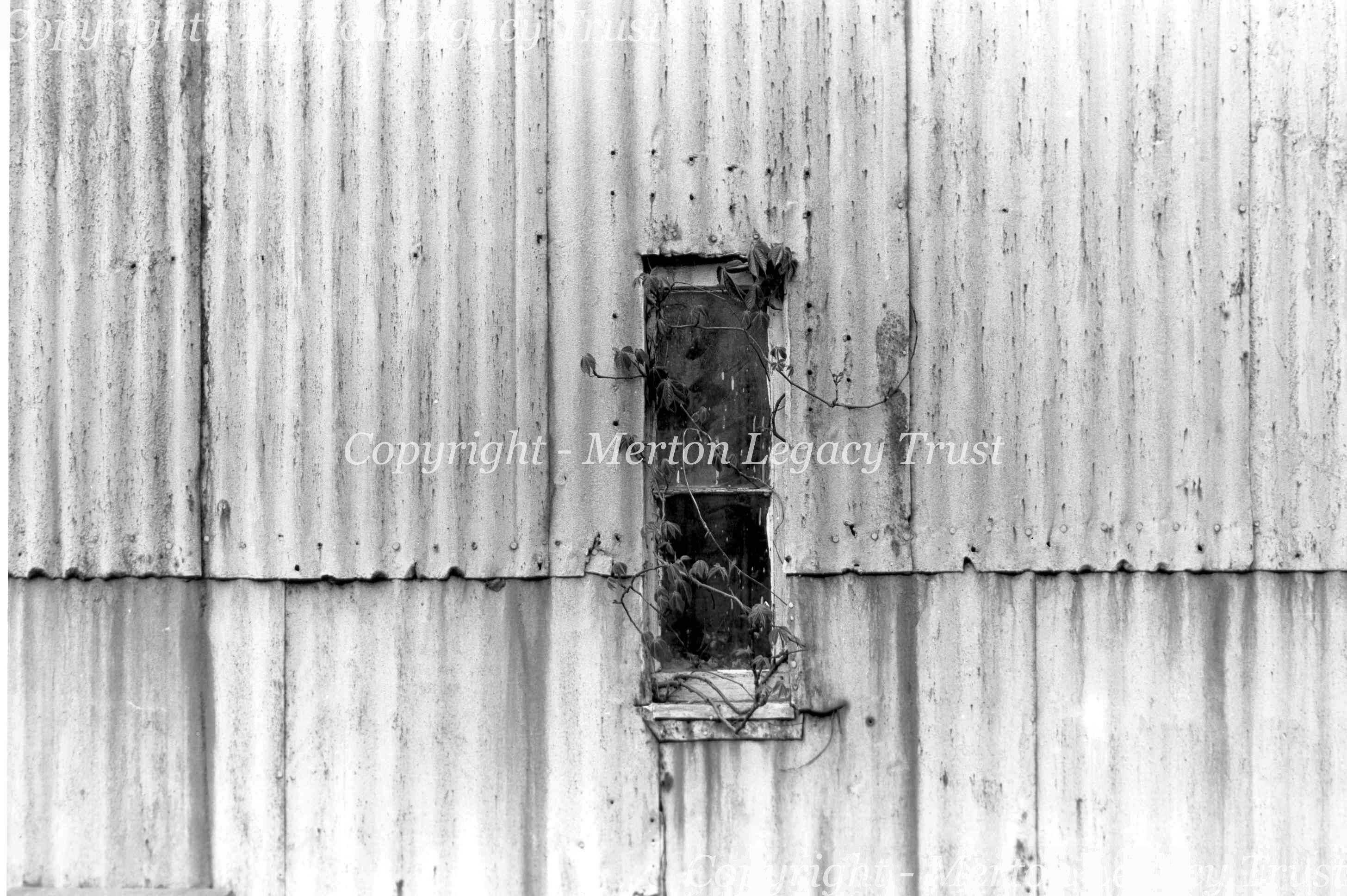 A Hidden Wholeness: The Zen Photography of Thomas Merton - Thomas ...